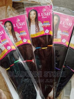 Lush Attachment in Lagos Island (Eko) - Hair Beauty, Ajayi Oladunni ...