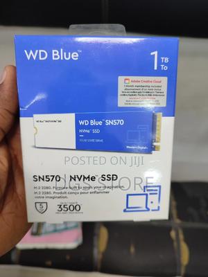 WD Blue Sn570 M.2 Internal SSD 1tb in Ikeja - Computer Hardware ...