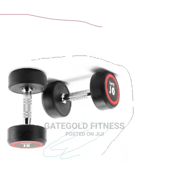 D2250.25 PRO Round Head Rubber Dumbbell 25kg [Pair] - GATEGOLD Fitness ...
