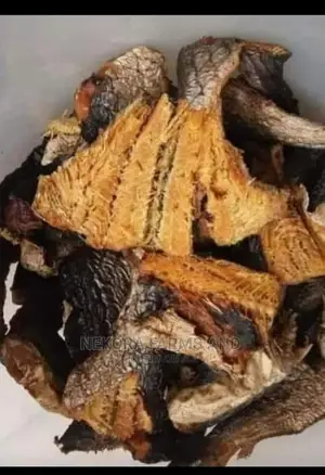 Dried Fresh Fish in Nigeria for sale Prices on Jiji.ng