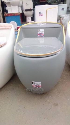 Smart Executive Water Closet With Quality Flushing System in Orile ...