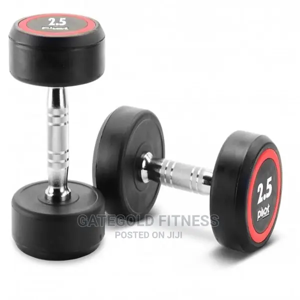D2250.2.5 PRO Round Head Rubber Dumbbell 2.5kg [Pair] for sale ...