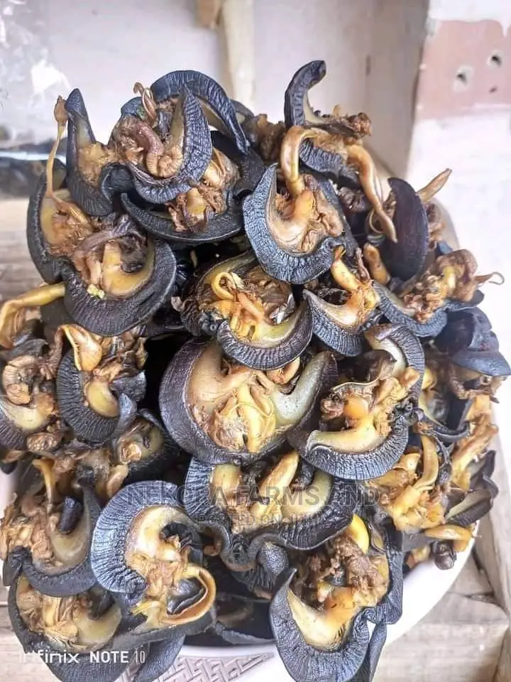 Oven Dried Snails- (50pieces) in Ajah - Food & Beverages, Nneka Nonye ...