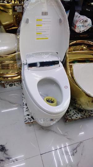 Smart Electric Executive Water Closet Available Now for sale - EVERGOLD ...