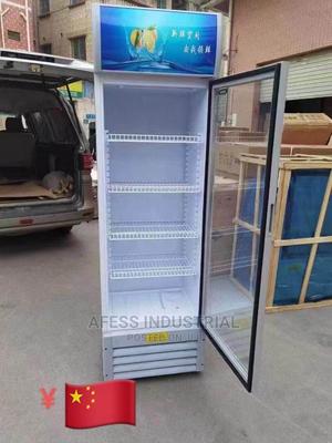 Single Door Display Chiller With LED Light in Ojo - Retail & Store ...