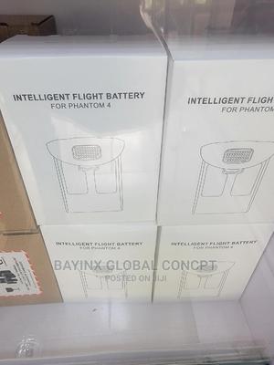Dji Phantom 4 Intelligent Flight Battery for sale - Bayinx Global ...