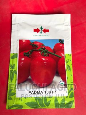 Padma 108 F1 Tomato Seed -5g for sale - Faluchi Agro Resources Limited ...