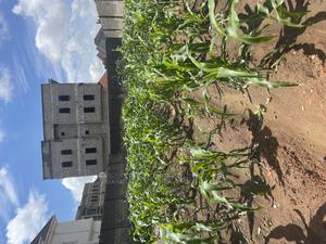 A Very Good and Fence With Gate FCDA Plot in Dawaki - Land & Plots for ...