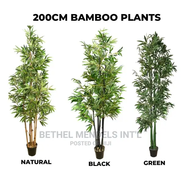 200cm Artificial Bamboo Tree | Bulk Sales of Fake Plants in Ikeja ...