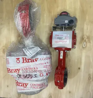 Bray Controls Butterfly Valve With Actuator Limit Switch in Orile ...