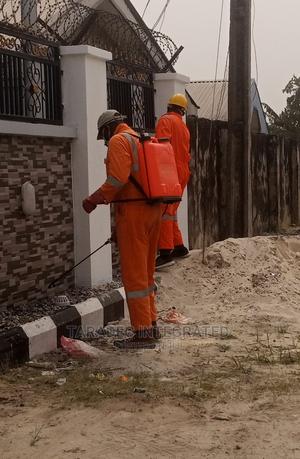 Fumigation Service For Bedbugs, Cockroaches, Snakes, Rats in Nyanya ...