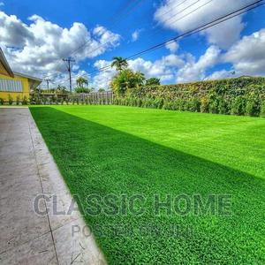 Original Green Turkish Grass in Ogbomosho South - Garden Supplies, Mr ...
