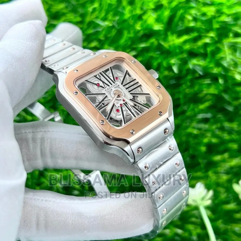 Luxury Cartier Skeleton Face Wristwatch in Lagos Island (Eko) - Watches ...