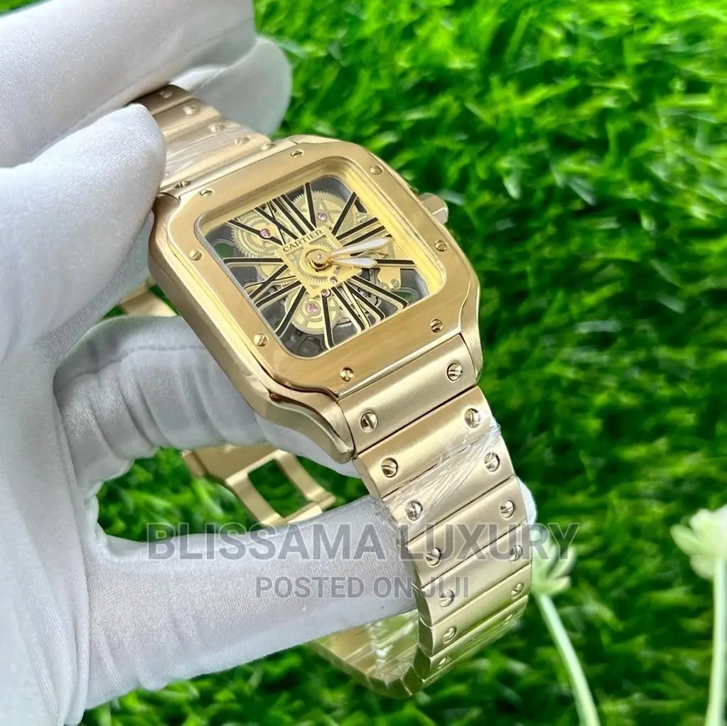 Luxury Cartier Skeleton Face Wristwatch in Lagos Island (Eko) - Watches ...