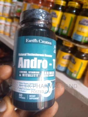 Earth's Creation Andro T Natural Testosterone Booster in Lagos Island ...