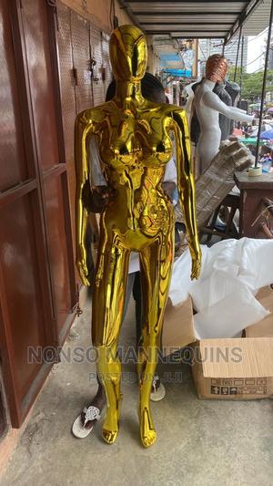 Full Body Female Gold Chrome Mannequin in Lagos Island (Eko) - Retail ...