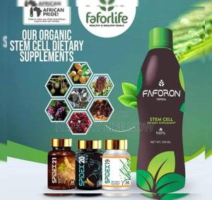 Faforlife Faforon Suleja Main Distributor in Suleja - Vitamins ...