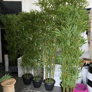 Fake Bamboo Plants Available for Wholesales Purchases for sale - Bethel ...