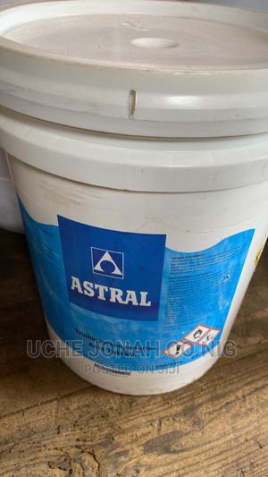 Astral Pool Chlorine Granded for Swimming Pool and Spa 25kg in Port ...