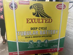 De Bull Exulted 220A 12v INDIAN Tubular Battery in Ojo - Solar Energy ...
