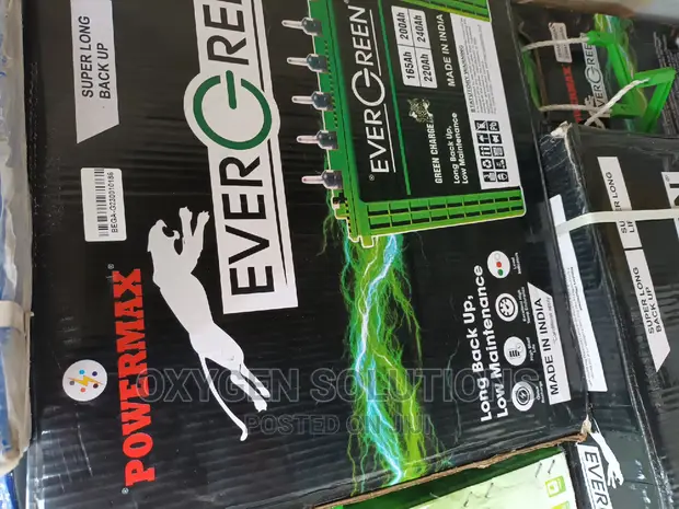 Evergreen Battery Logo