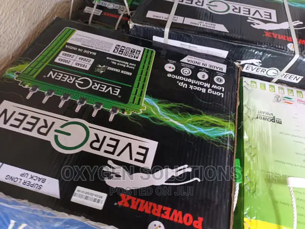 Evergreen Battery Logo