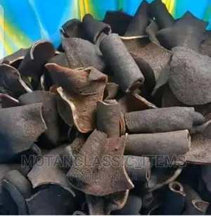 Cows in Lagos for sale Prices on Jiji.ng