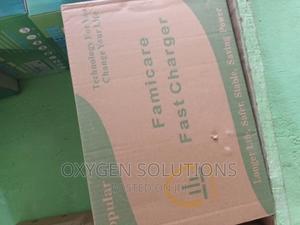 50ah Famicare Battery Charger for sale - Oxygen Solutions Price: ₦ ...