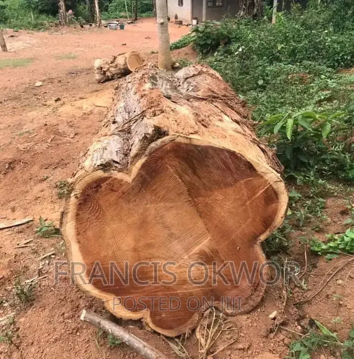 Teak Wood Available in Lagos Island (Eko) - Landscaping & Gardening ...