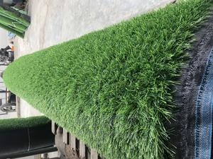 Real 25mm Astro Turf Grass for Outdoor in Maryland - Garden Supplies ...