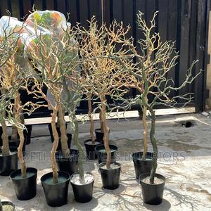 Artificial Dried Tree for Interior Design and Decorations in Ikeja ...