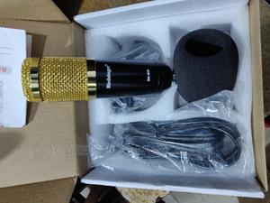 Birdsinger Bm800 Studio Mic in Mushin - Audio & Music Equipment, C ...