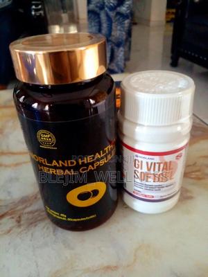 Norland Healthway Capsule Gi Vital Softgel for Hepatitis for sale ...