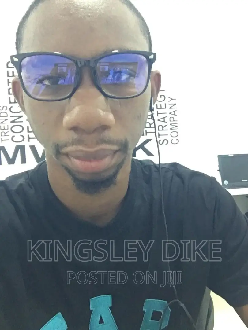 Web Designer and Developer in Ikeja - Computer & IT Services, Kingsley ...