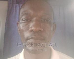 Motor Driver/Coaster Bus in Ojo - Driver CVs, Tarzan Michael | Jiji.ng