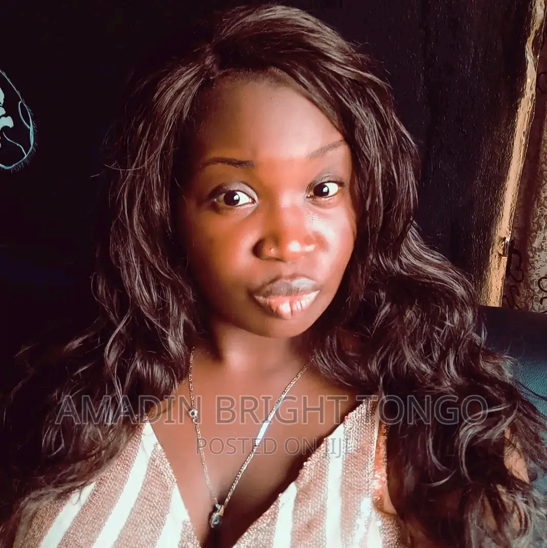 Mrs Anthonia in Lagos Island (Eko) - Restaurant & Bar CVs, Amadin ...