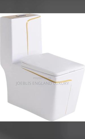 Executive White Square Wc With Gold Line and Wash Hand Basin in Orile ...