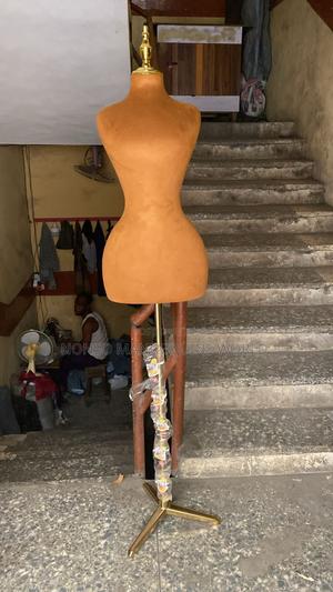 Female Bbl Body Form Fully Pinnable in Lagos Island (Eko) - Retail ...