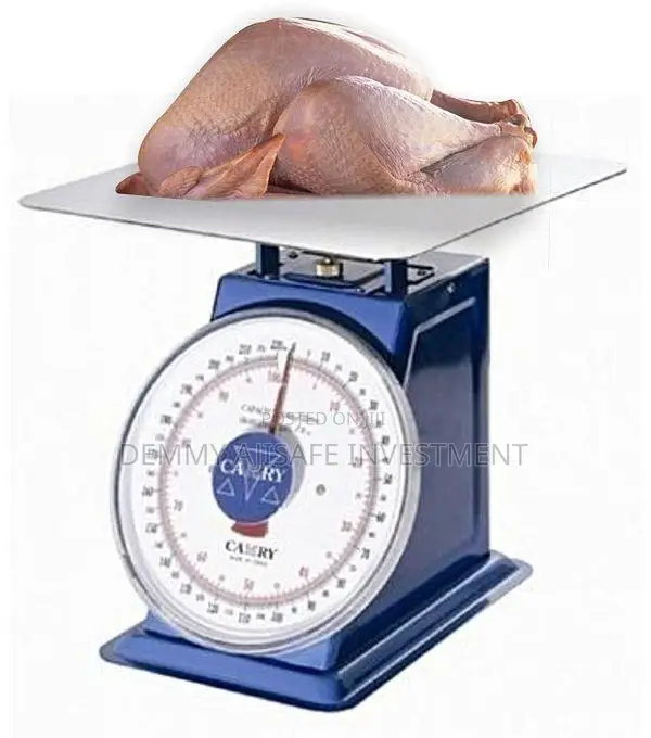 Spring Scale 50kg in Lagos Island (Eko) - Kitchen Appliances, Demmy ...