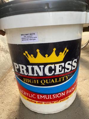 20 Liters Princess Emulsion Paint in Lagos Island (Eko) - Building ...