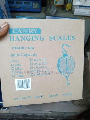 Camry Hanging Scale 100kg in Lagos Island (Eko) - Retail & Store ...