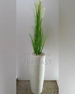 Artificial Reed Plant + White Fiberglass Pot – Combo Pack in Ikeja ...