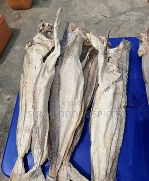 Stockfishes in Nigeria for sale Prices on Jiji.ng