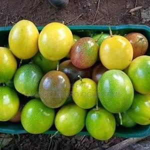 Stone Breaker Leaves Powder, Passion Fruit in Yaba - Food & Beverages ...