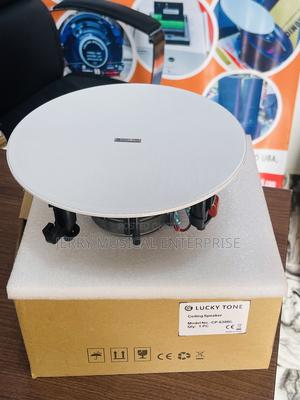 60watts Woofer Frameless Ceiling Speakers for sale - Jerry musical ...