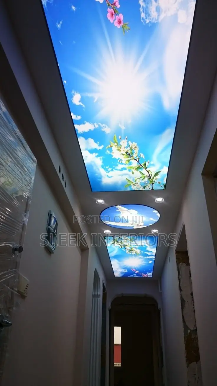 Animated Ceiling for sale - sleek interiors Price: ₦ 50,000 on Jiji.ng ...