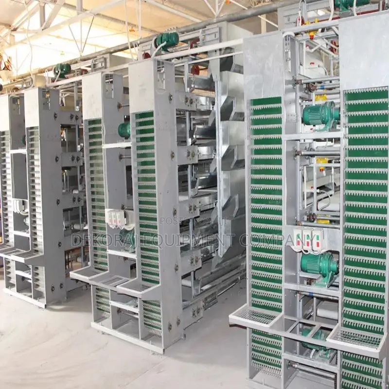 120 Automated Battery Cage System: Complete Installation in Wuse - Farm ...