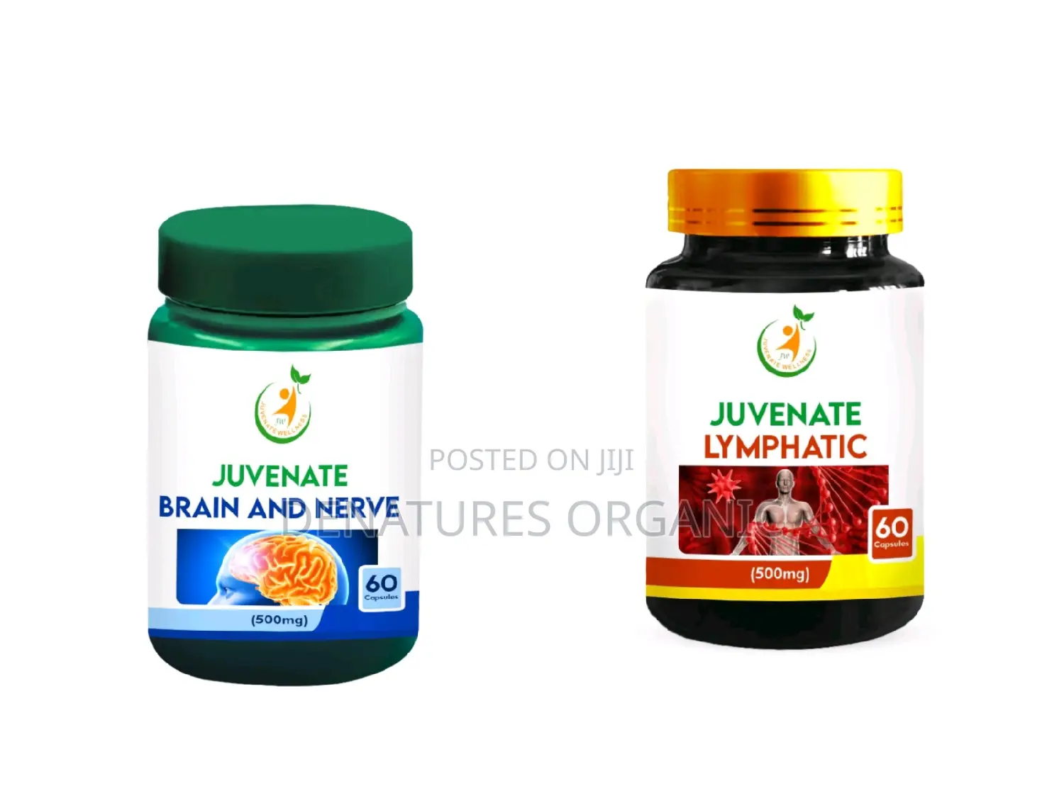 Juvenate Brain and Nerve, Lymphatic for Brain / Inflamations in Ikeja ...