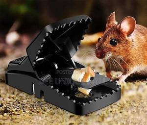 Heavy Duty Rat Trap Reusable Plastic Mouse Traps for All for sale - Dee ...