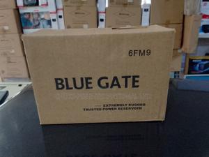 Bluegate 12v 9ah Ups Battery for sale - Chuks Pee International Ltd ...